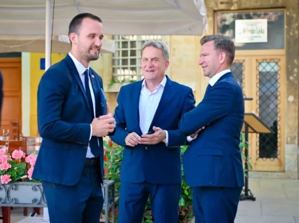 Kalmeta i Erlić potvrđeni za predsjednike HDZ-a, Šoša odustao, u ...