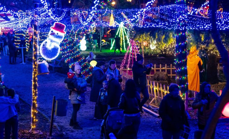 I Novigrad u utrci za najljepši Advent u Hrvatskoj – 057info